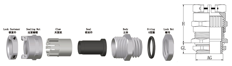 Double Locked Brass Cable Gland – Home